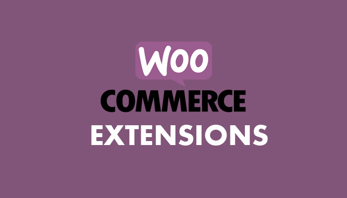 Are you using the right extensions for your WooCommerce store?
